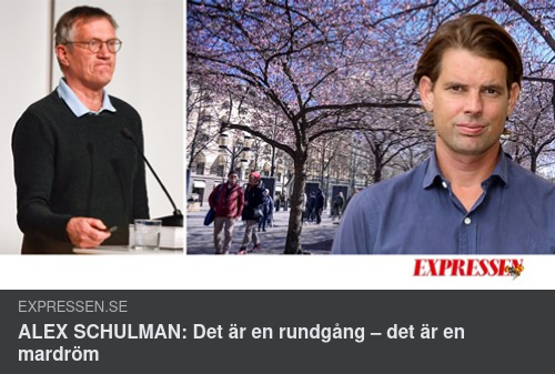 Stacklad Schulman För Nybörjare - Carl Norberg - Palanthir