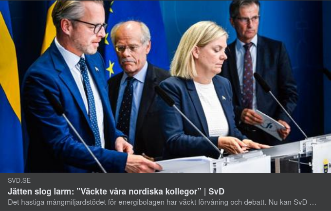 Fortum, Elmarknaden & Det Valutafinansiella systemets Stabilitet - Carl Norberg - Palanthir