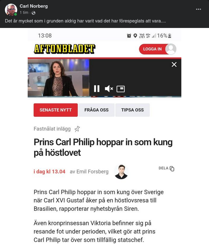 Prins Tar Över Under Kungligt Höstlov - Carl Norberg - Palanthir