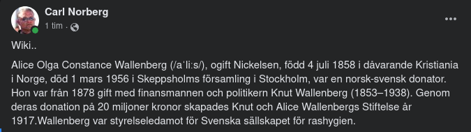 Alice På Wiki - Carl Norberg - Palanthir