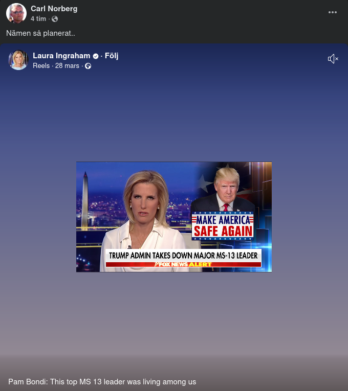 Bondi Hos Ingraham - Carl Norberg - Palanthir